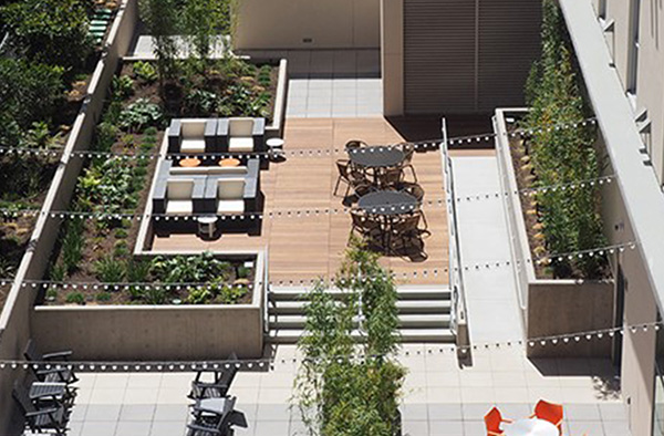Gallery - Turf Grate